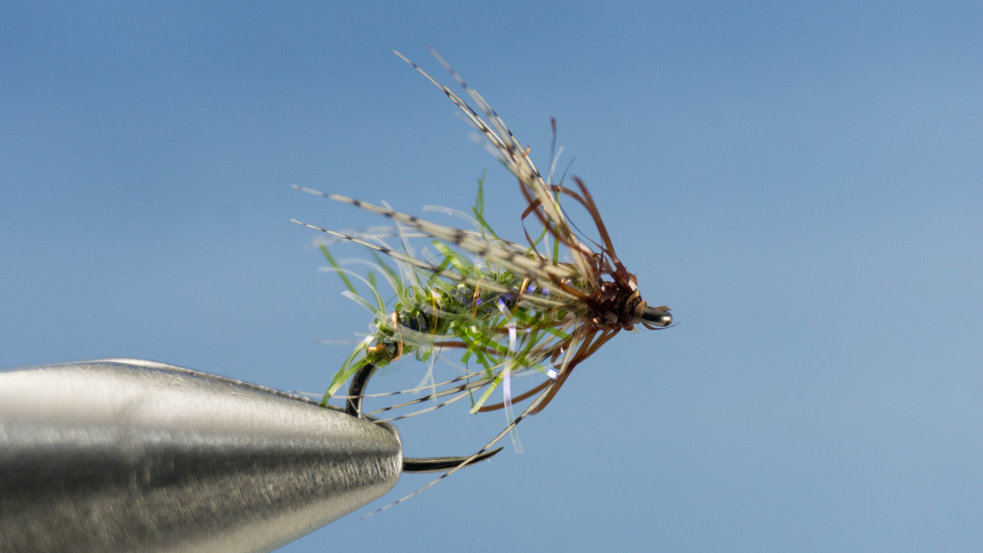 EDC Caddis – GuideFlies.com