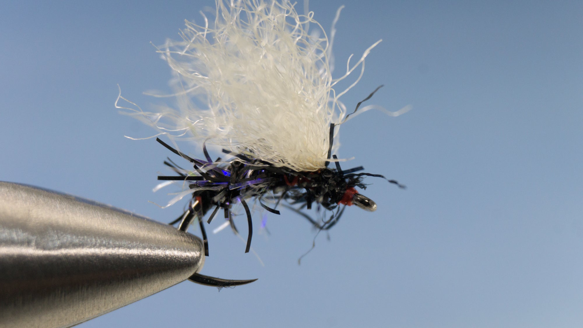 Sparkle Ant's – GuideFlies.com