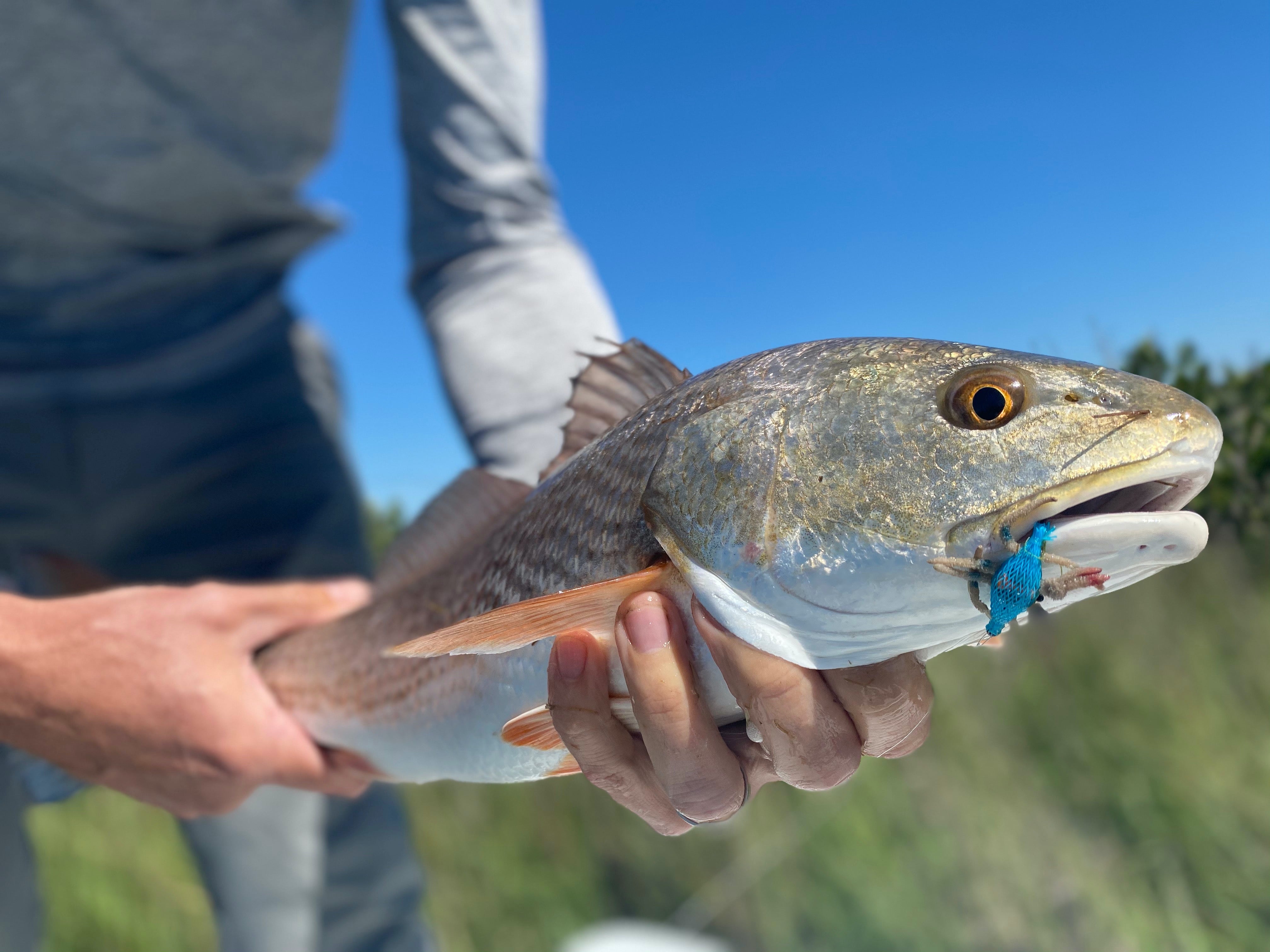 Redfish Flies – GuideFlies.com