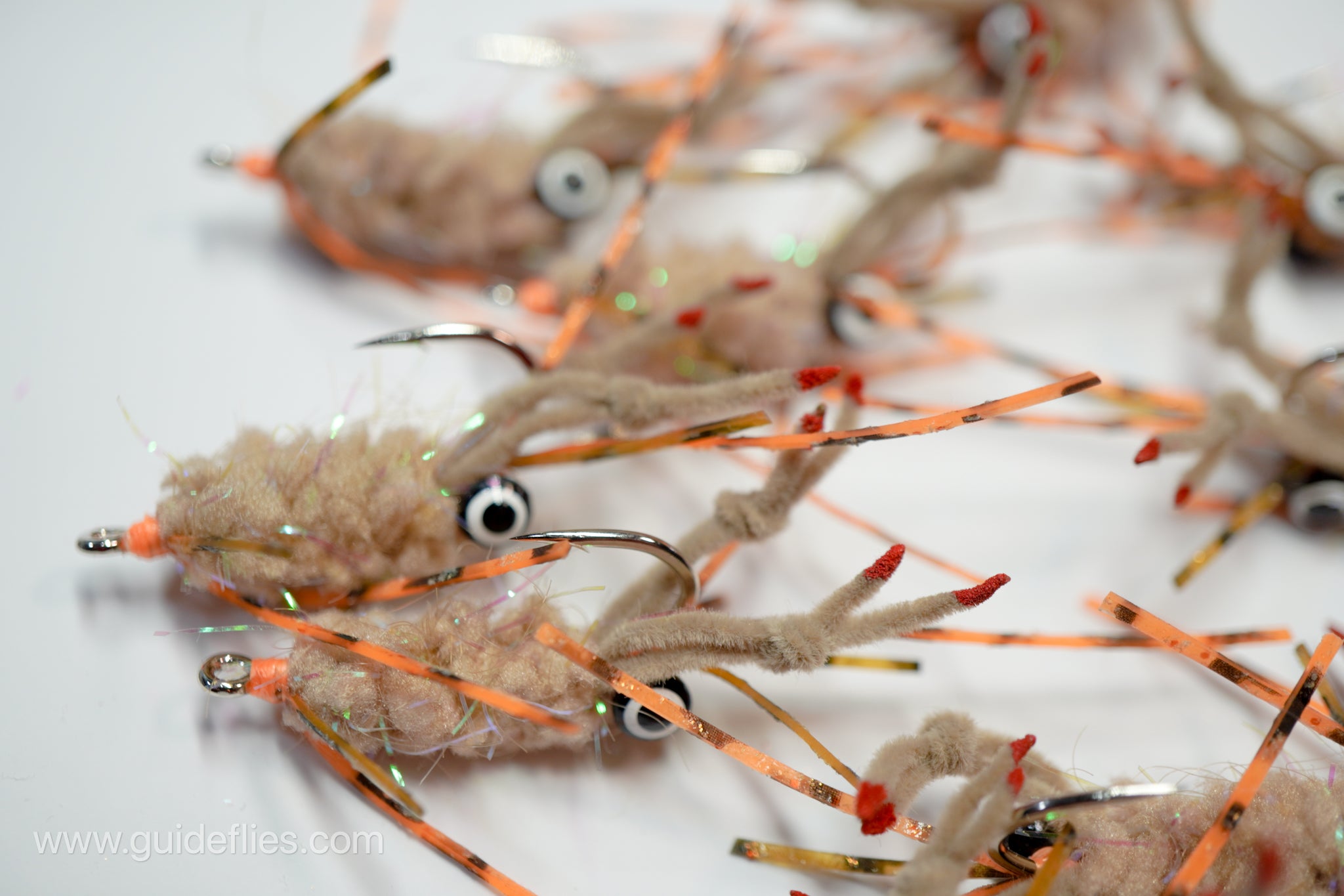 Body Guard Mantis Shrimp – GuideFlies.com